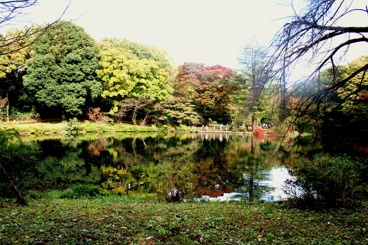 日立中央研究所庭園の一般公開(国分寺市)【街プレ倶楽部 西多摩歳時記】 街プレ 東京・西多摩の地域情報サイト